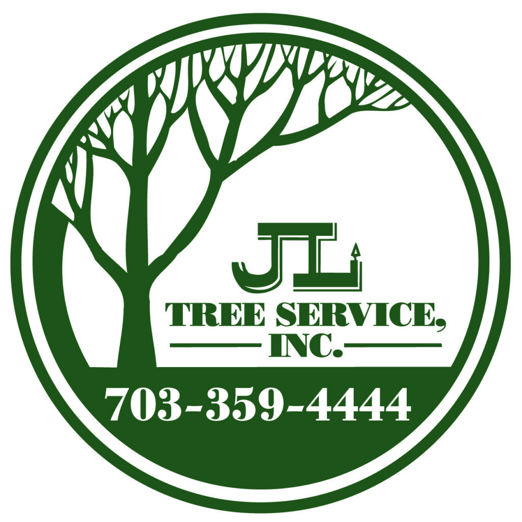 TreeServe | Replant • Restore • Revive